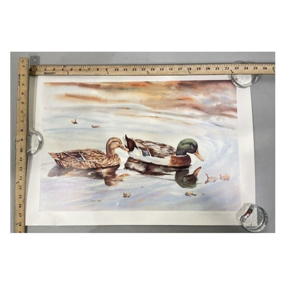 Art | Joyce Gagen Ducks Print Signed And Numbered 47895 Read 1824 ...